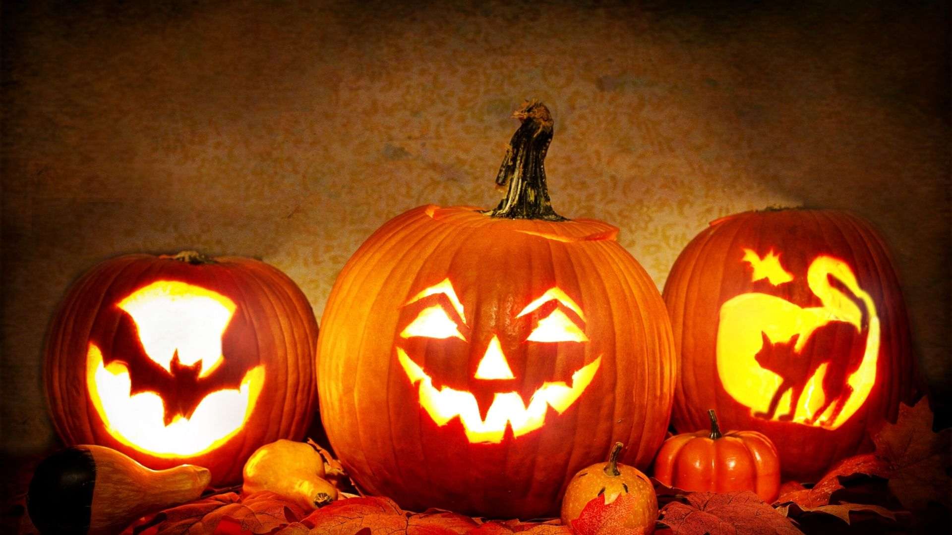 10 curiosità su Halloween | Holins