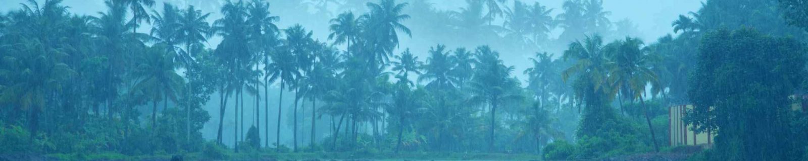 I monsoni cosa sono e dove si formano