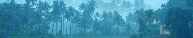 I monsoni cosa sono e dove si formano